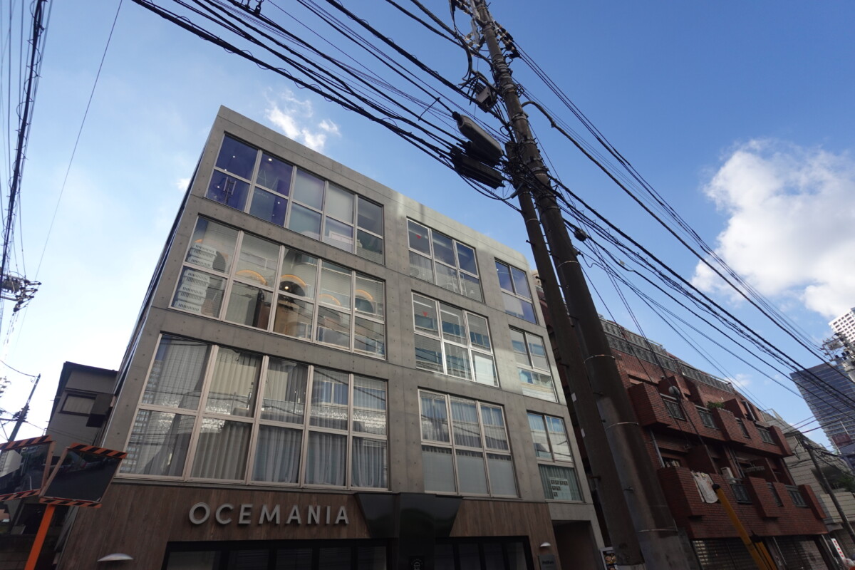 ペットホテルや犬のしつけを手掛けるDOG ONE PLUS 今月開店予定 | 新宿ニュースBlog